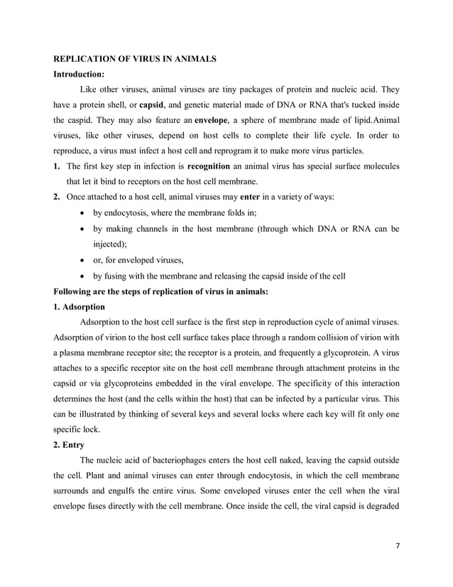 Viral Replication Pdf