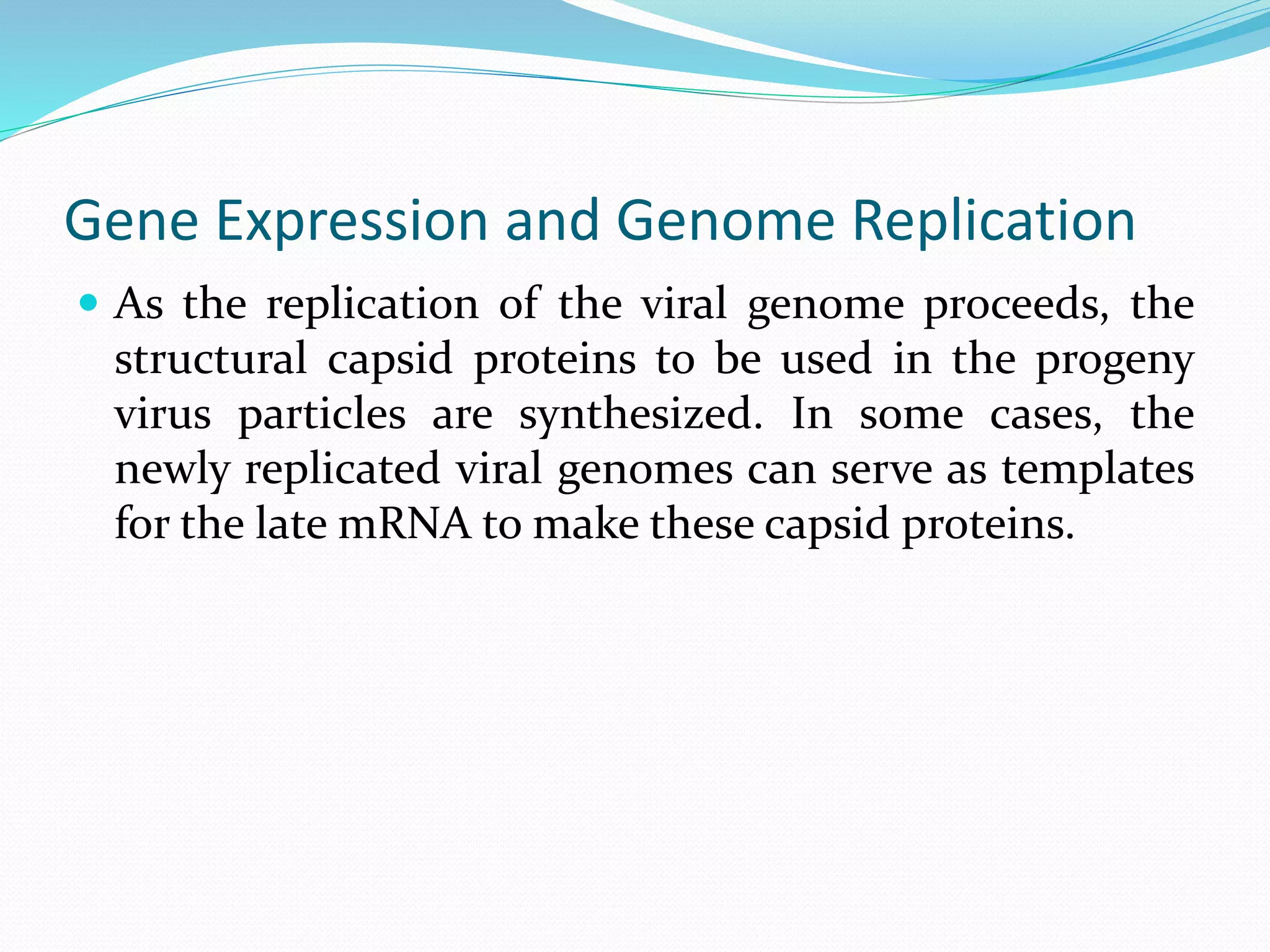 viral replication .pptx