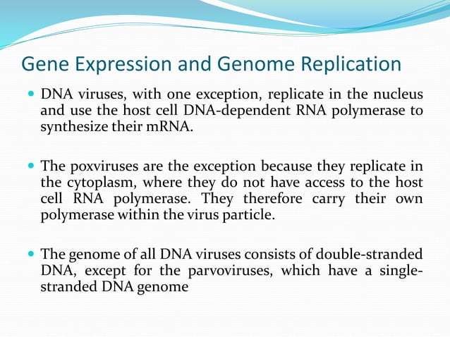 Viral Replication Pptx Free Download
