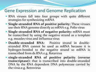 viral replication .pptx