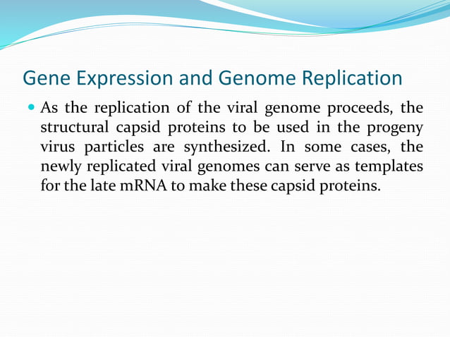 Viral Replication Pptx Free Download