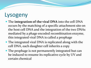 viral replication .pptx