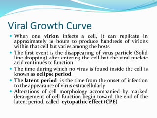 viral replication .pptx