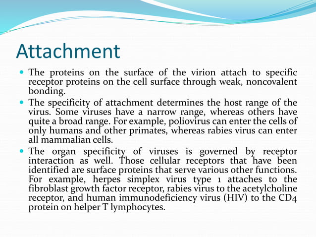 Viral Replication Pptx Free Download