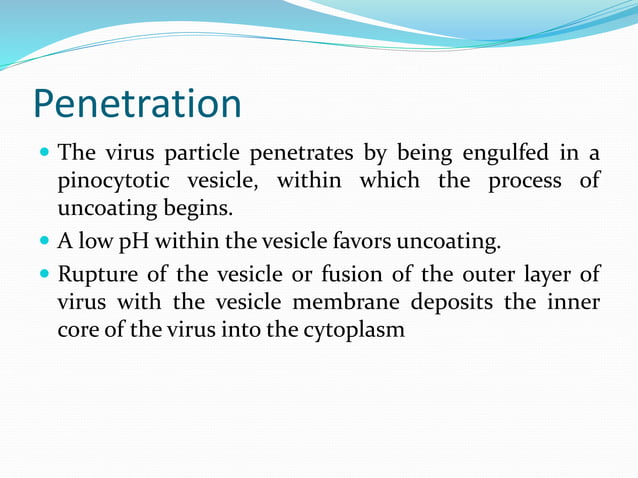 Viral Replication Pptx Free Download