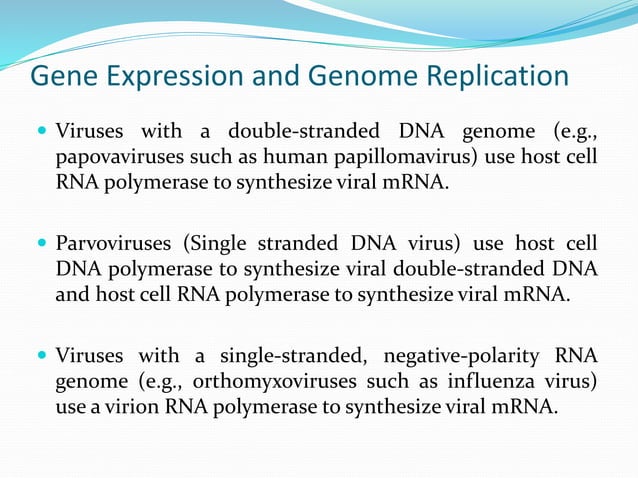 Viral Replication Pptx Free Download