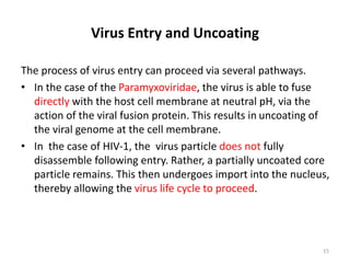 VIRAL REPLICATION.-1.VIRUS REPLICATIIN AND IT'S LIFE CYCLE | PPT
