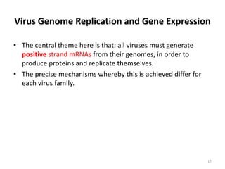 VIRAL REPLICATION.-1.VIRUS REPLICATIIN AND IT'S LIFE CYCLE | PPT
