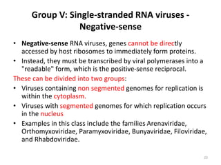 VIRAL REPLICATION.-1.VIRUS REPLICATIIN AND IT'S LIFE CYCLE | PPT