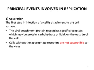 VIRAL REPLICATION.-1.VIRUS REPLICATIIN AND IT'S LIFE CYCLE | PPT