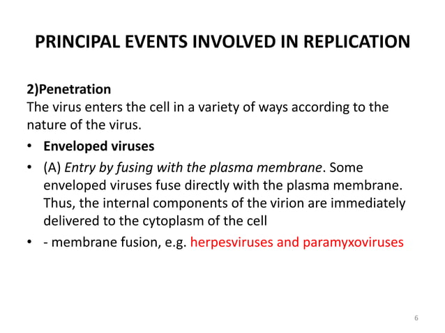 VIRAL REPLICATION.-1.VIRUS REPLICATIIN AND IT'S LIFE CYCLE | PPT