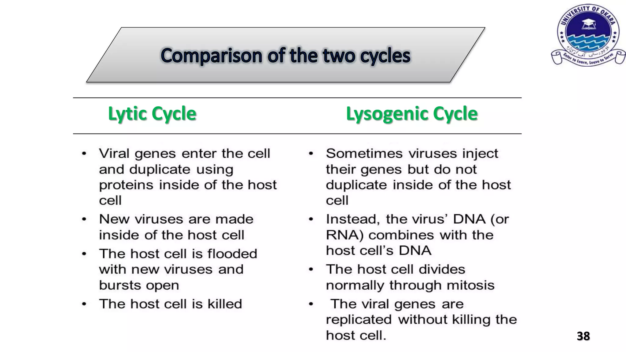 Viral replication by Kainat Ramzan-SlideShare | PPT