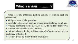 Viral replication by Kainat Ramzan-SlideShare | PPT
