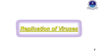 Viral replication by Kainat Ramzan-SlideShare | PPT