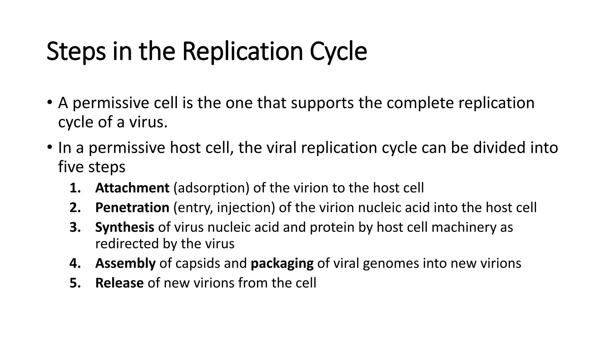 Viral replication and life cycle.pptx