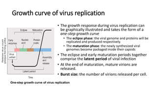 Viral replication and life cycle.pptx