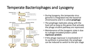 Viral replication and life cycle.pptx | Biological Sciences | Science