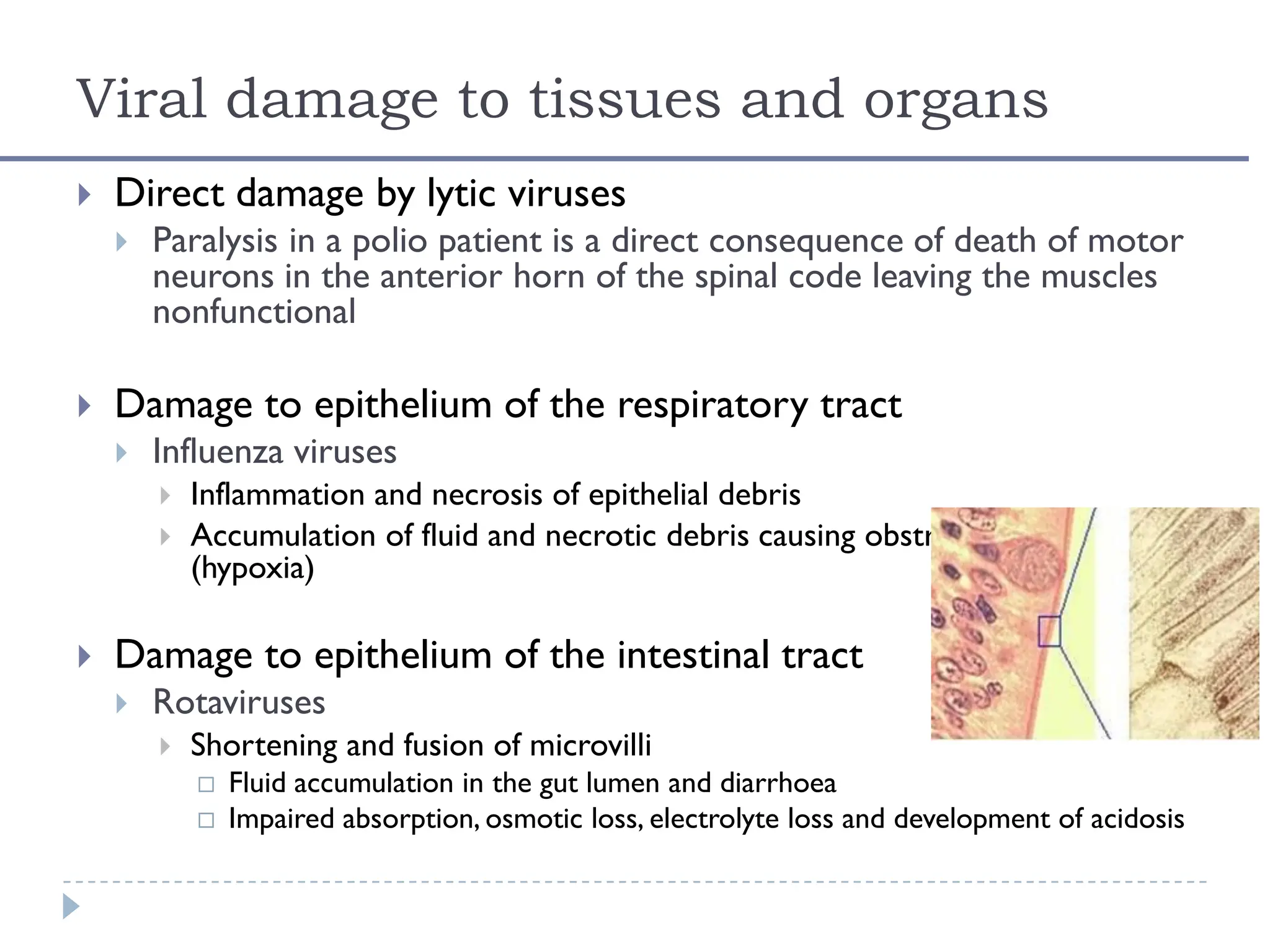 Viral replication and Mechanism of infection and spread of viruses ...