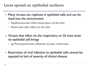 Viral replication and Mechanism of infection and spread of viruses ...