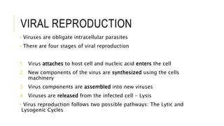 Viral reproduction | PPT