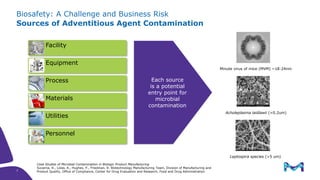 Viral Risk Mitigation Strategies: Key Considerations in the Prevention ...