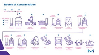 Viral Risk Mitigation Strategies: Key Considerations in the Prevention ...