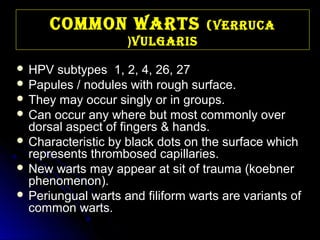 Common Viral Skin Diseases | PPT