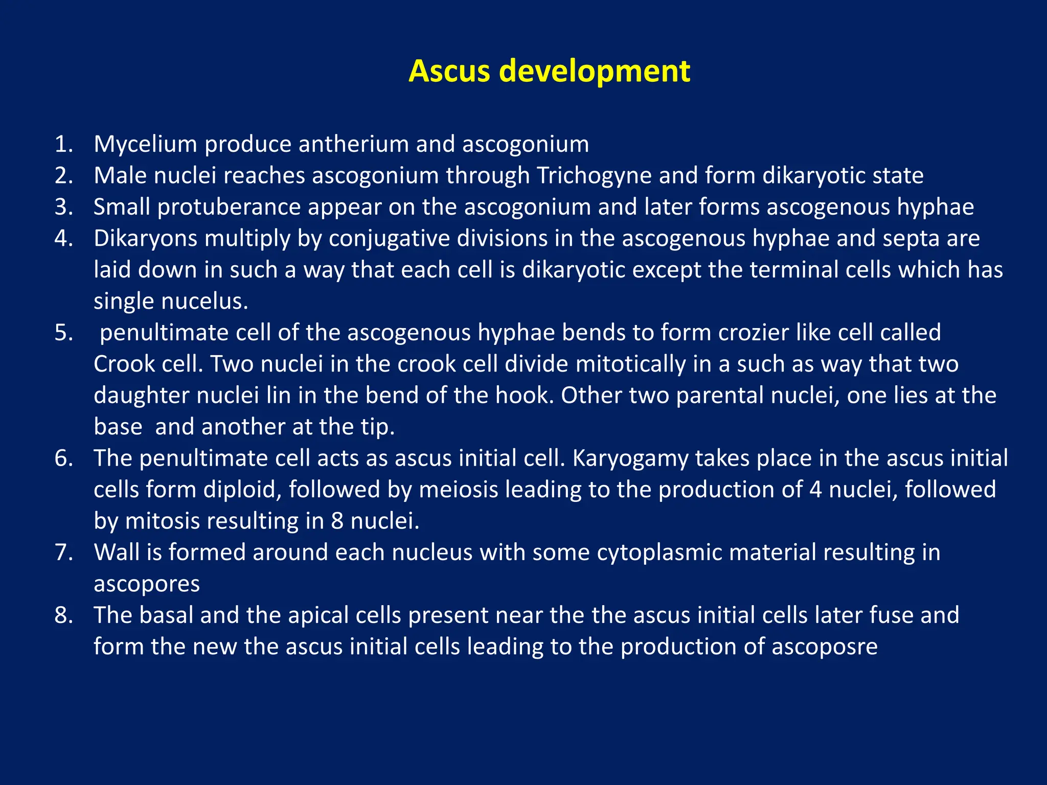 Viral symptom.pptx........phytopathology | PPTX