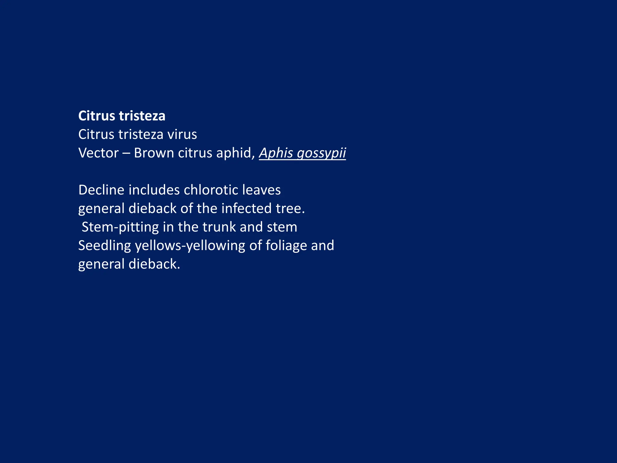 Viral symptom.pptx........phytopathology | PPTX