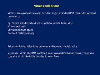 Viral symptom.pptx........phytopathology | PPTX