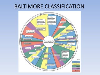 Viral taxonomy | PPTX