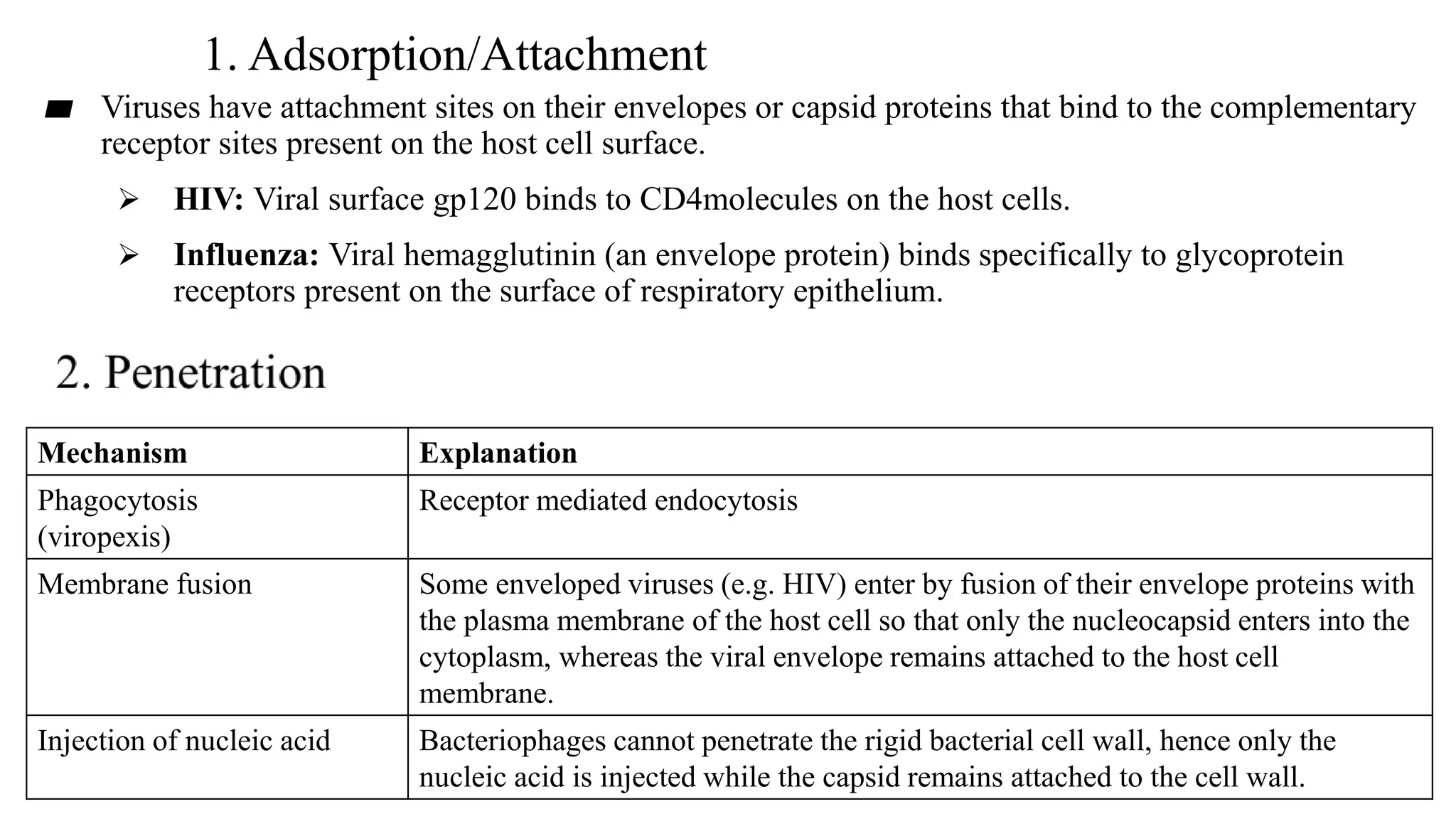 viral taxonomy,classification and properties.pptx