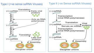 viral taxonomy,classification and properties.pptx