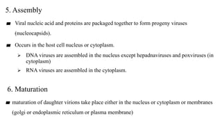 viral taxonomy,classification and properties.pptx