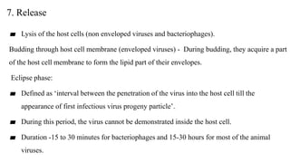 viral taxonomy,classification and properties.pptx