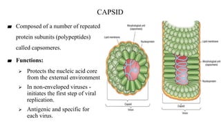 viral taxonomy,classification and properties.pptx