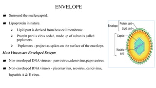 viral taxonomy,classification and properties.pptx