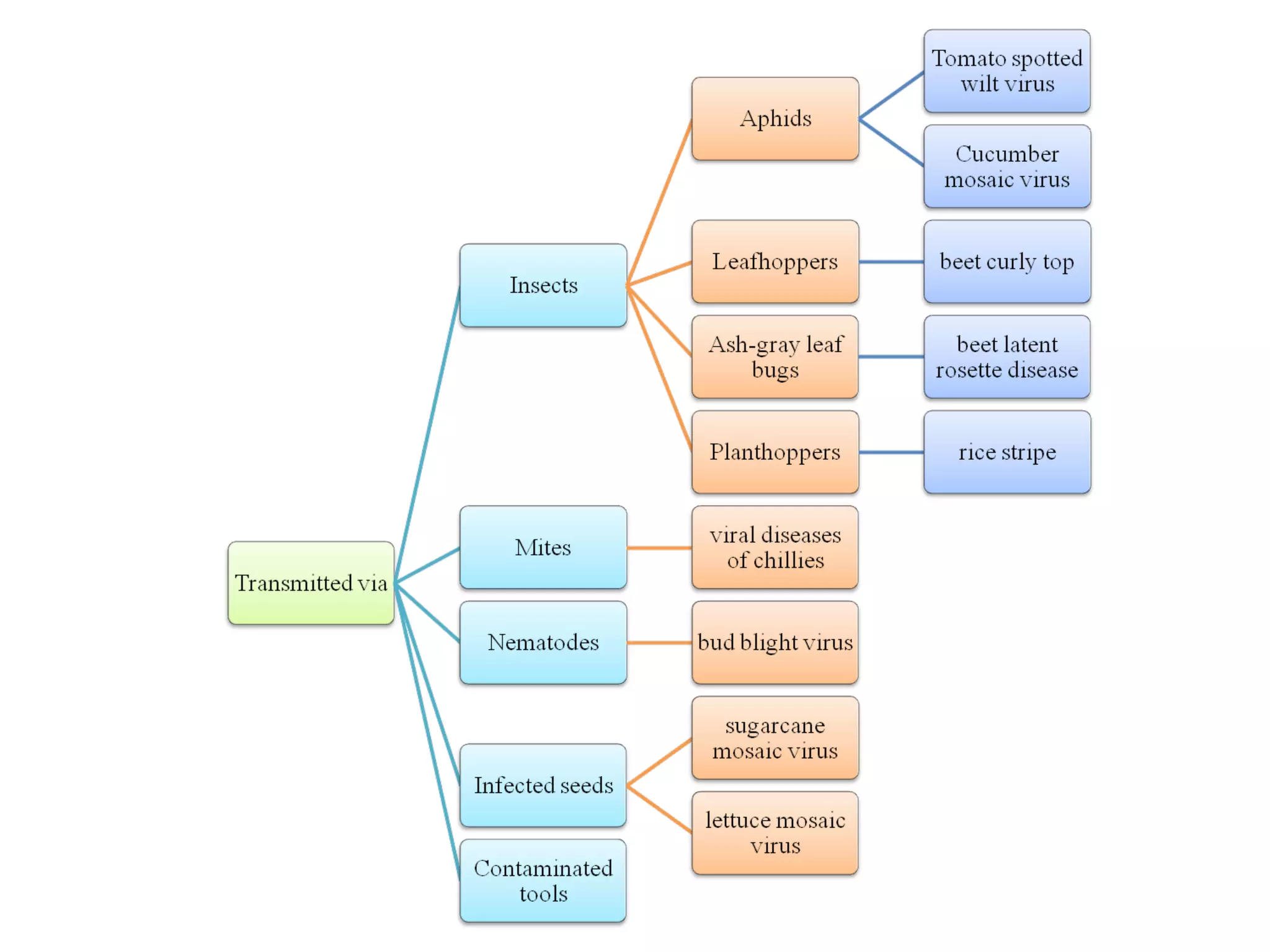 Viral transmission | PPT