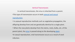 VIRAL TRANSMISSION.pd..bhdnydjirbkydbkfh | PDF
