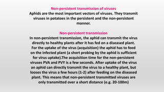 VIRAL TRANSMISSION.pd..bhdnydjirbkydbkfh | PDF | Gardening | Home & Garden