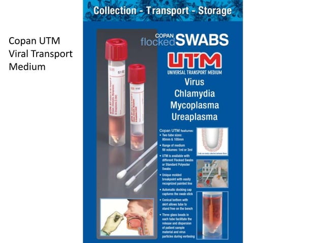 Viral Transport Medium | PPSX