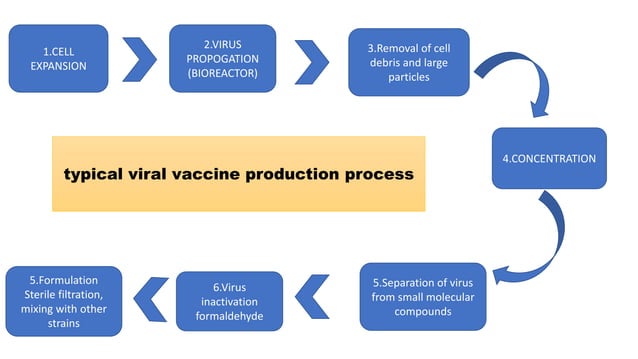 Viral vaccine production (5 MIN READ) | PPTX