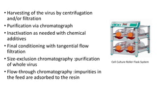 Viral vaccine production (5 MIN READ) | PPTX