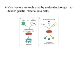 Viral vector | PPTX