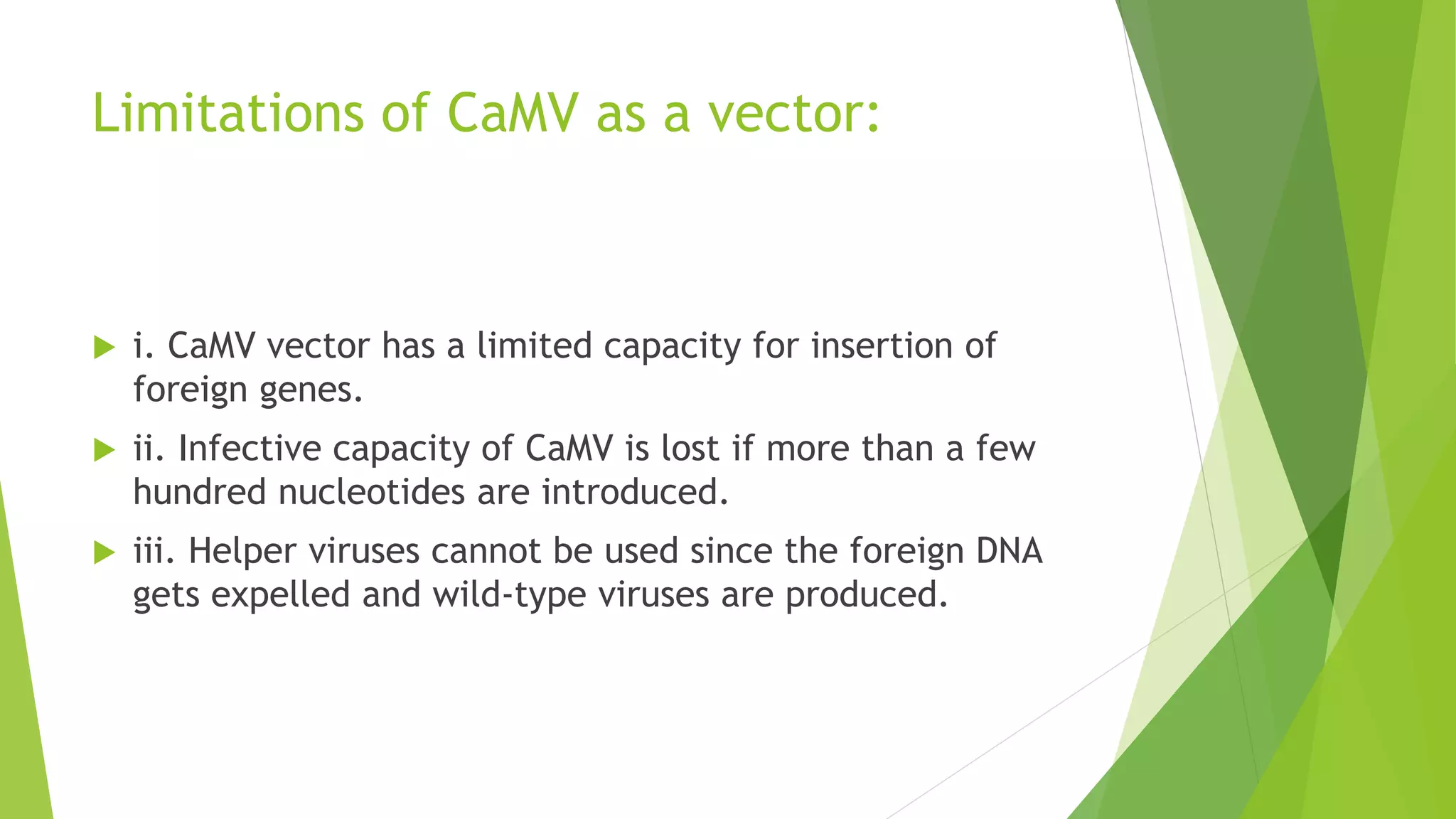 Viral vector gene transfer - plant viruses as a vector for gene ...