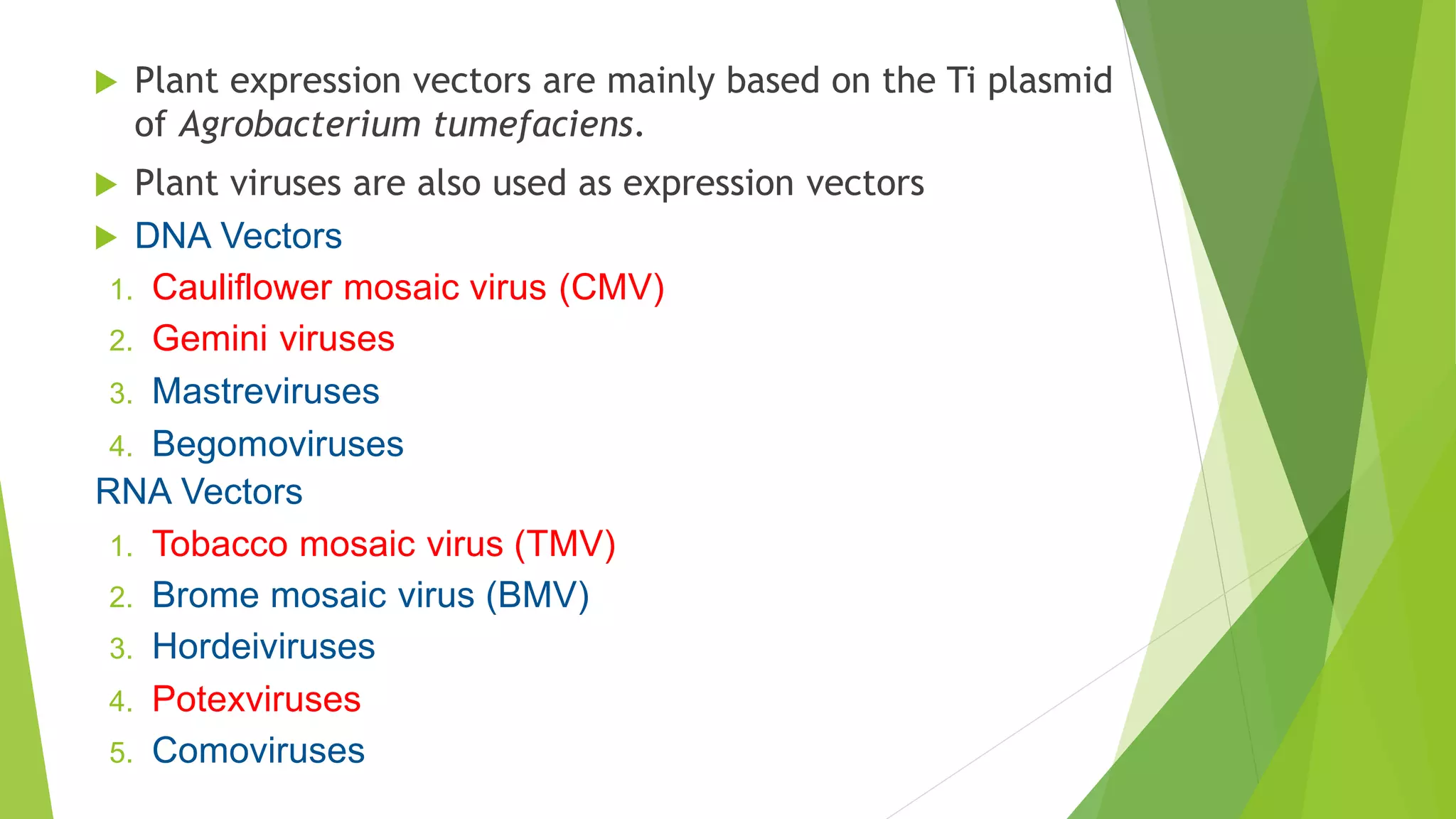 Viral vector gene transfer - plant viruses as a vector for gene ...