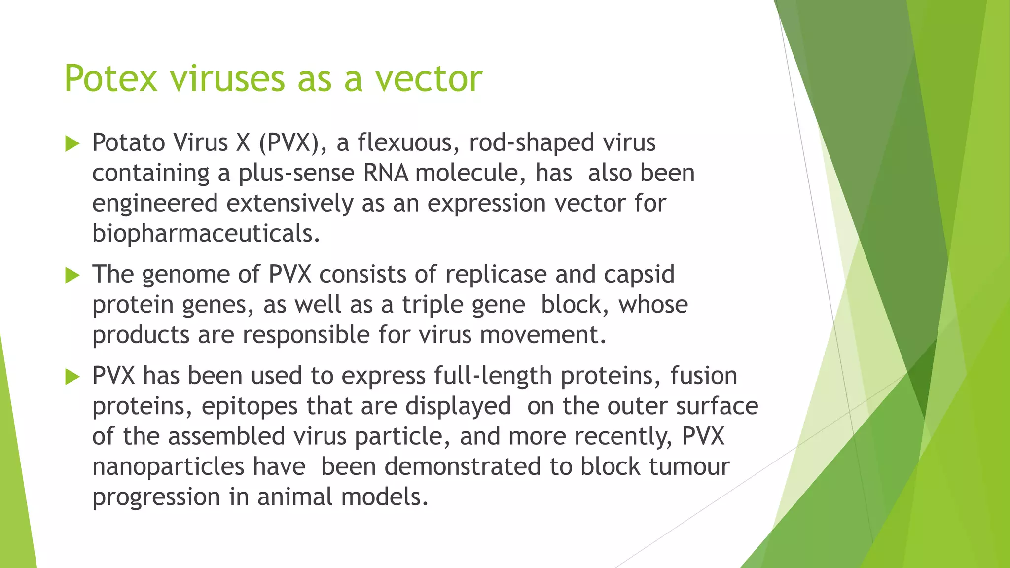 Viral vector gene transfer - plant viruses as a vector for gene ...