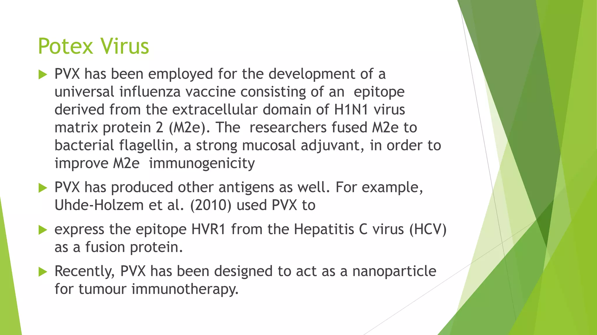 Viral vector gene transfer - plant viruses as a vector for gene ...