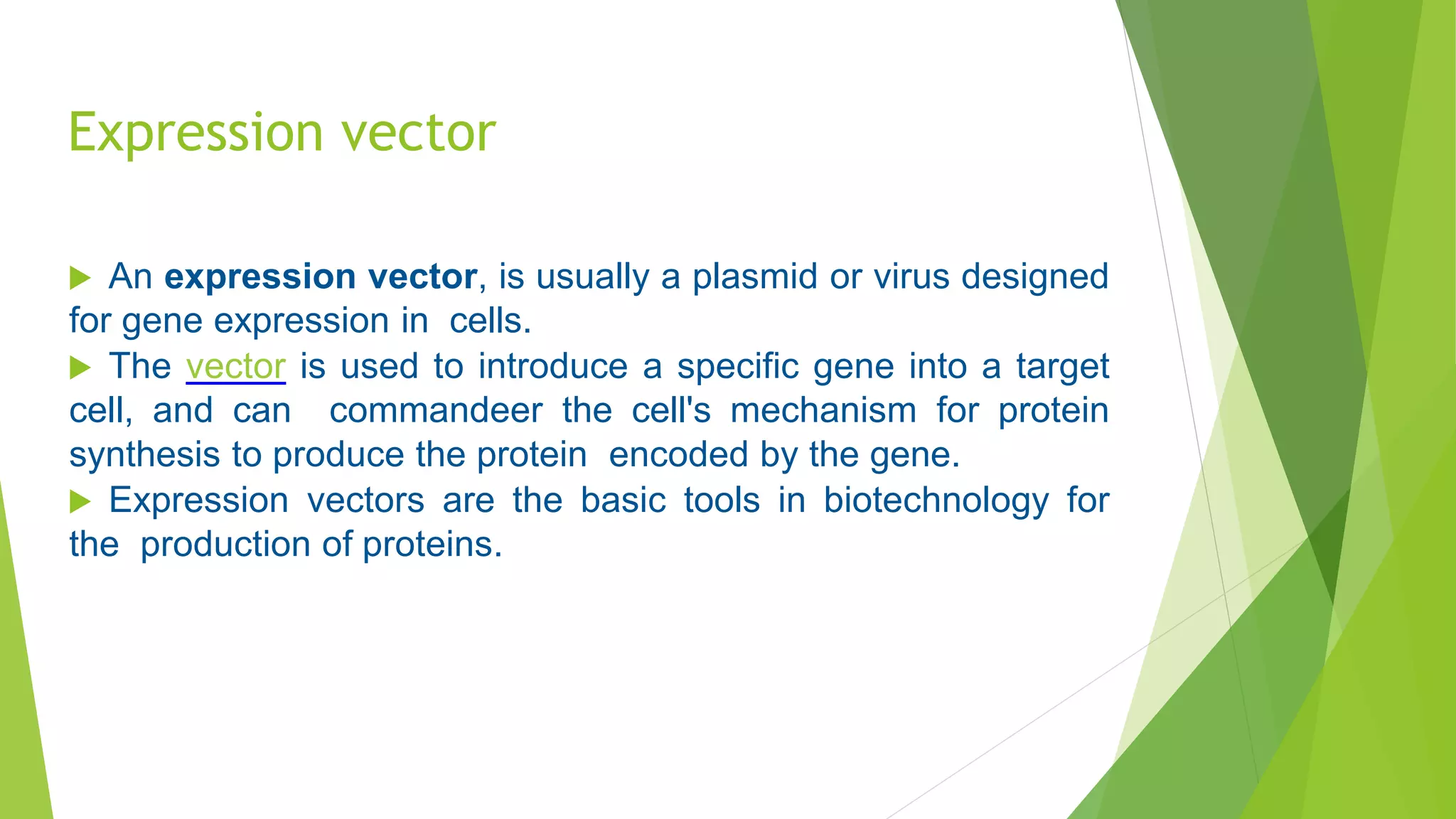 Viral vector gene transfer - plant viruses as a vector for gene ...