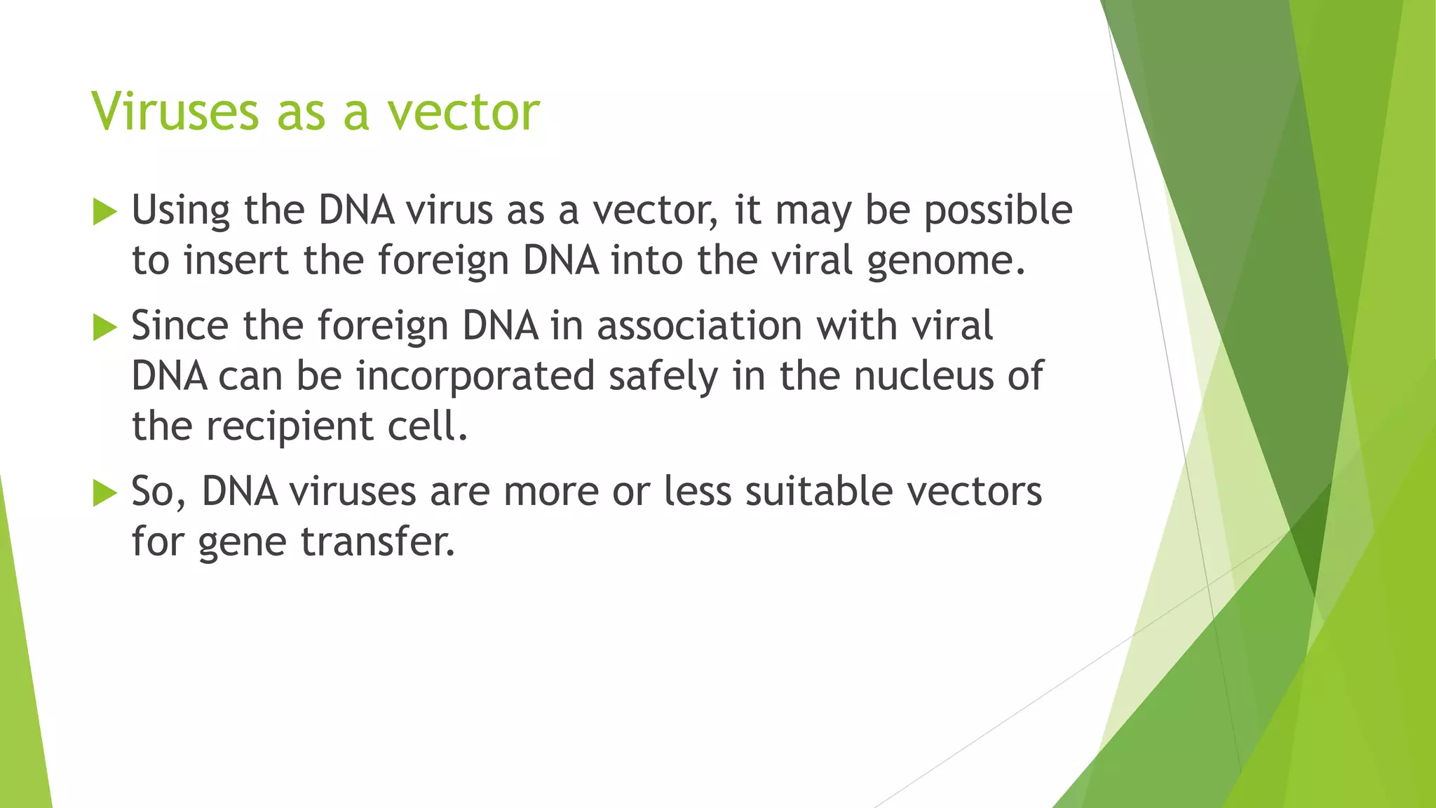 Viral vector gene transfer - plant viruses as a vector for gene ...